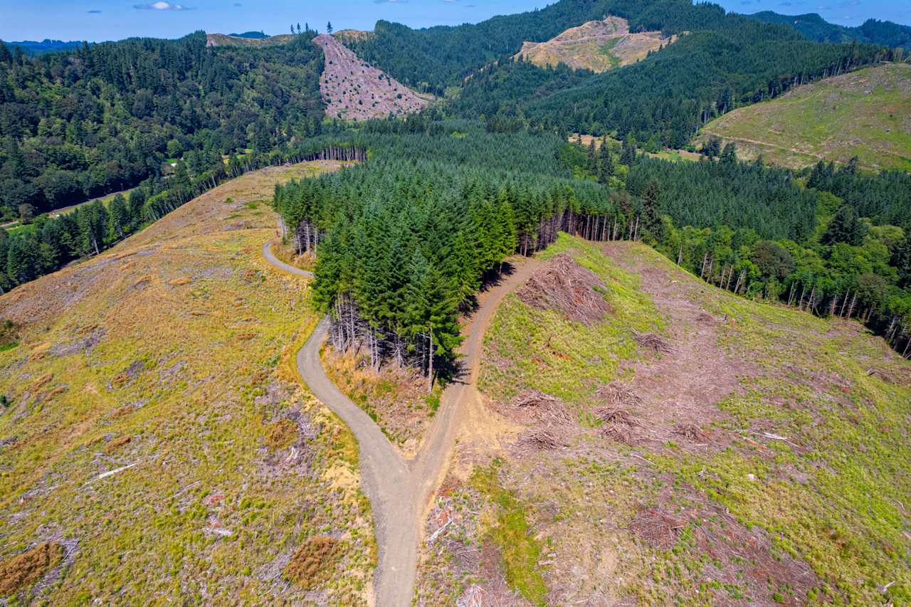 Eddyville/Sam's Creek Sealed Bid Offering (No Published Reserve)