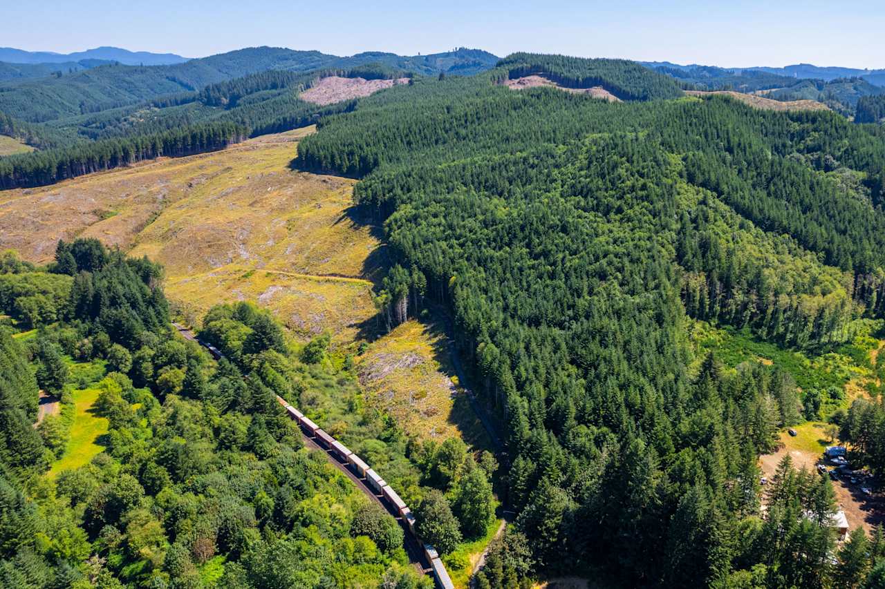 Eddyville/Sam's Creek Sealed Bid Offering (No Published Reserve)