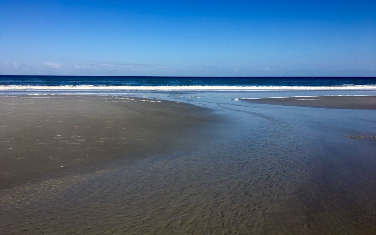 Top Florida Real Estate Agent | Julie Little Brewer