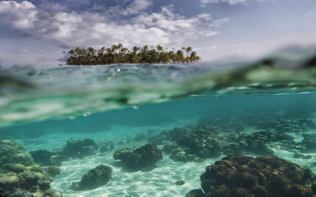 Four Seasons Caye Chapel | Development | Florida Golf & Beaches