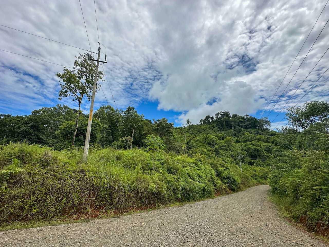 Eco Conservation Opportunity | 26 Acres of Costa Rican Nature