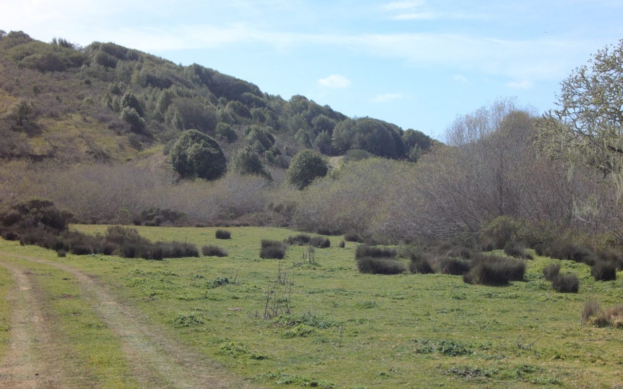 Martinelli Ranch | Peter Maselli