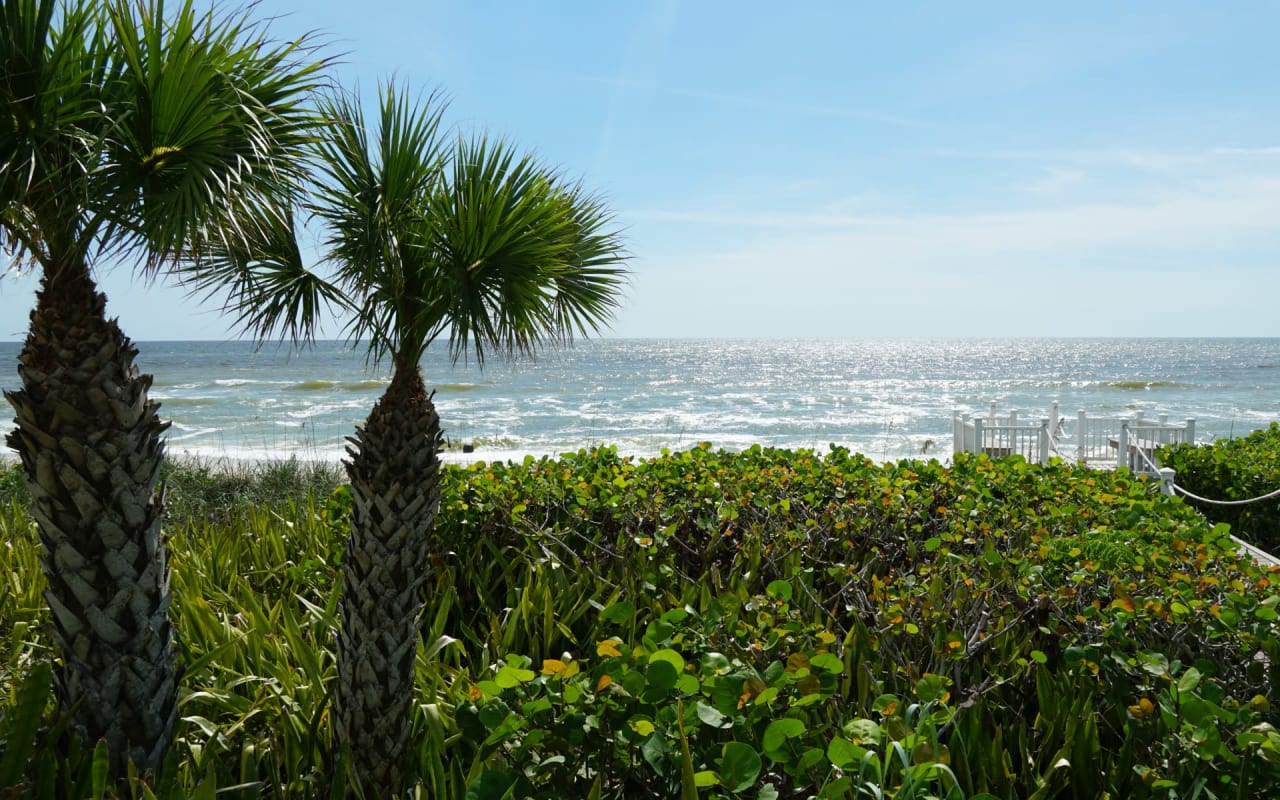 Casey Key | Neighborhood Guide | Wendy Egan