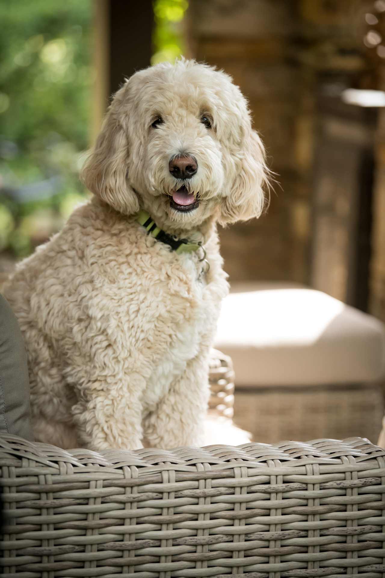 Meet the Team - Cleveland Real Experts | Adam Kaufman