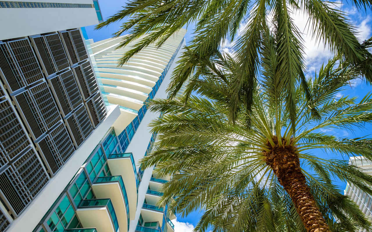 Portfolio | Mark Yaffe