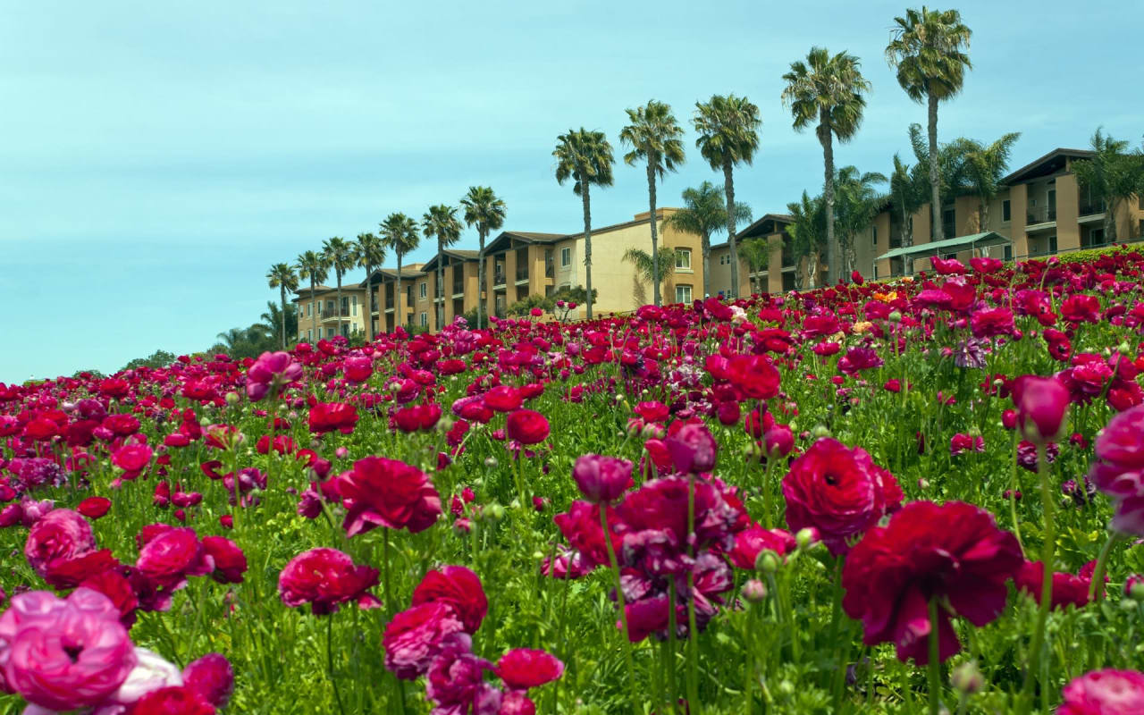 Carlsbad Real Estate Company - The Joslin Team