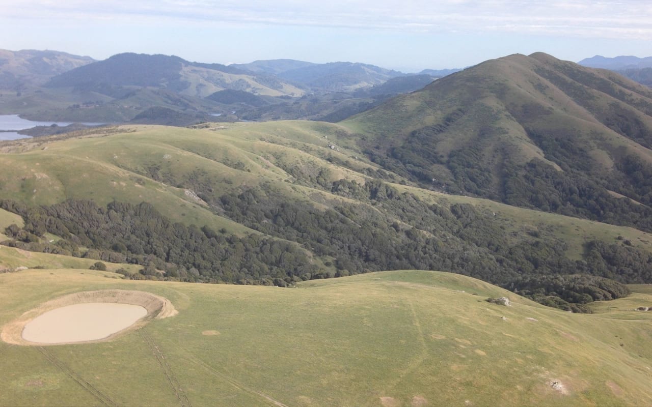 Martinelli Ranch | Peter Maselli