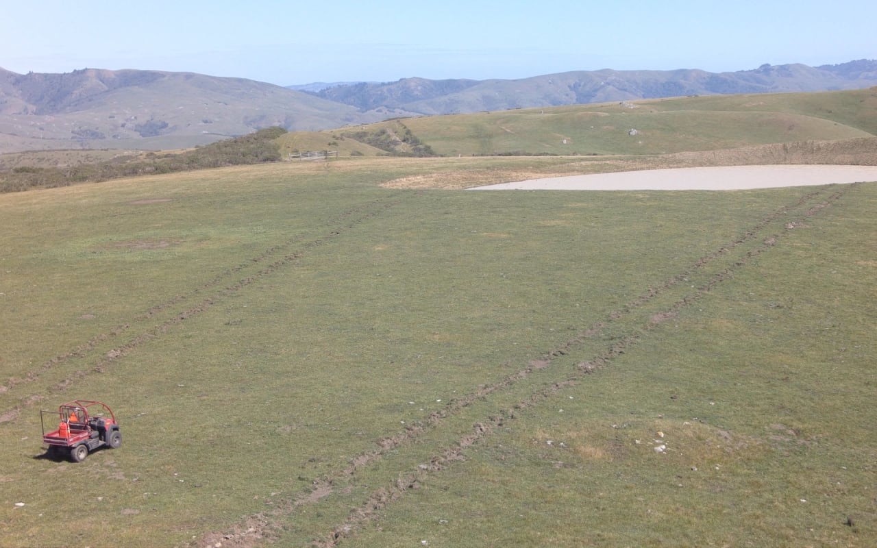 Gallery | Martinelli Ranch | Peter Maselli