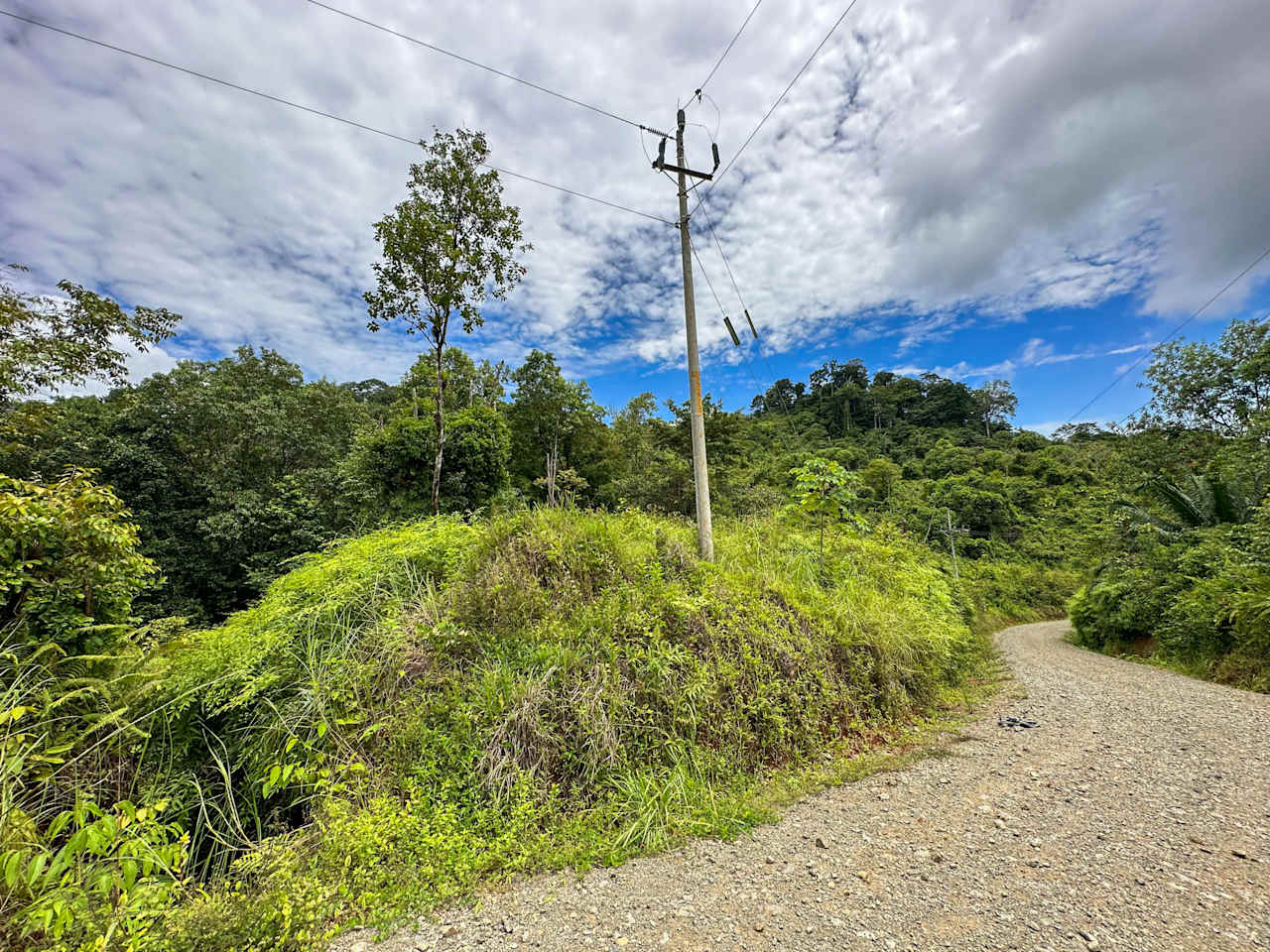Eco Conservation Opportunity | 26 Acres of Costa Rican Nature