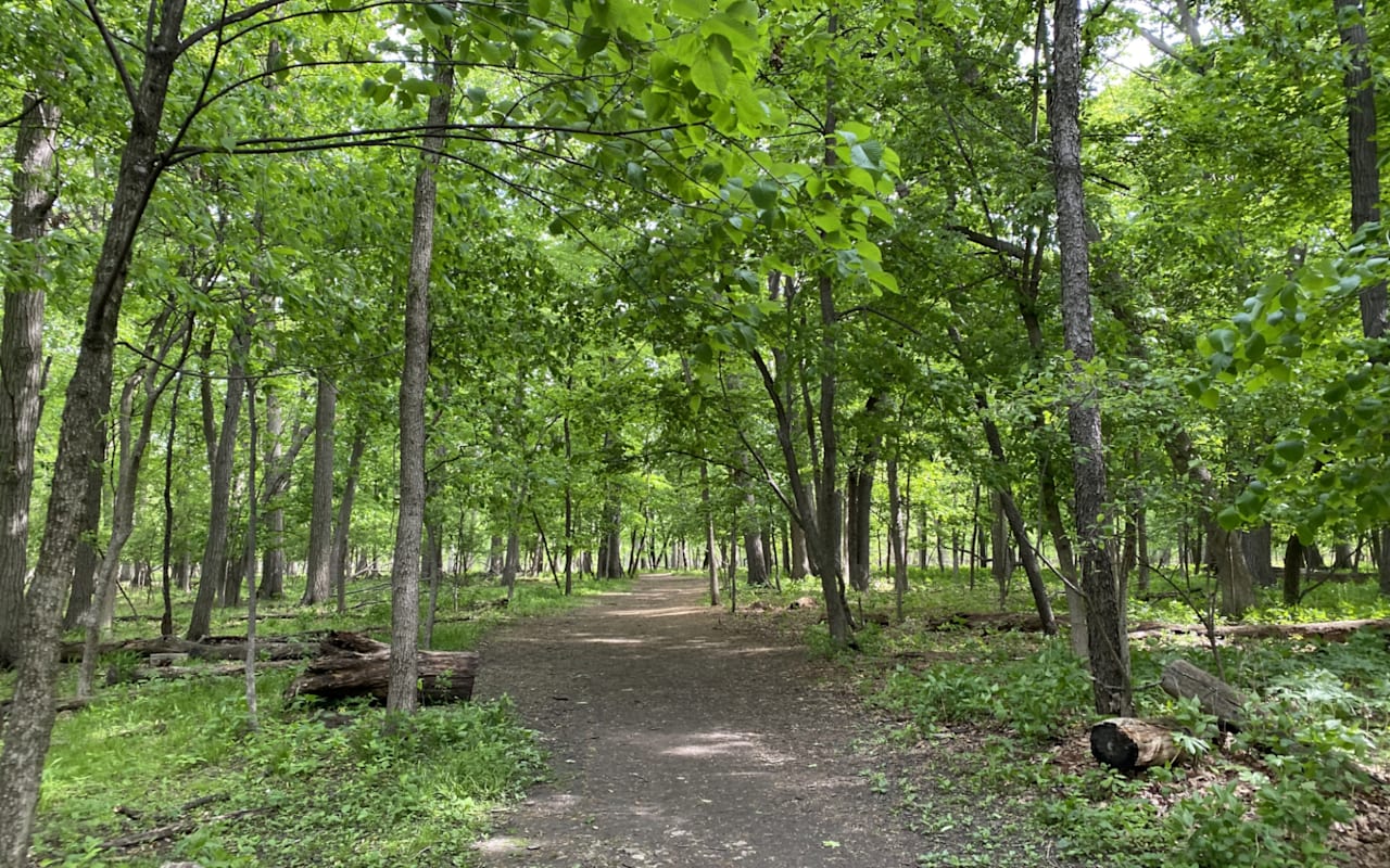 A Guide to River Forest Parks | Gagliardo Group