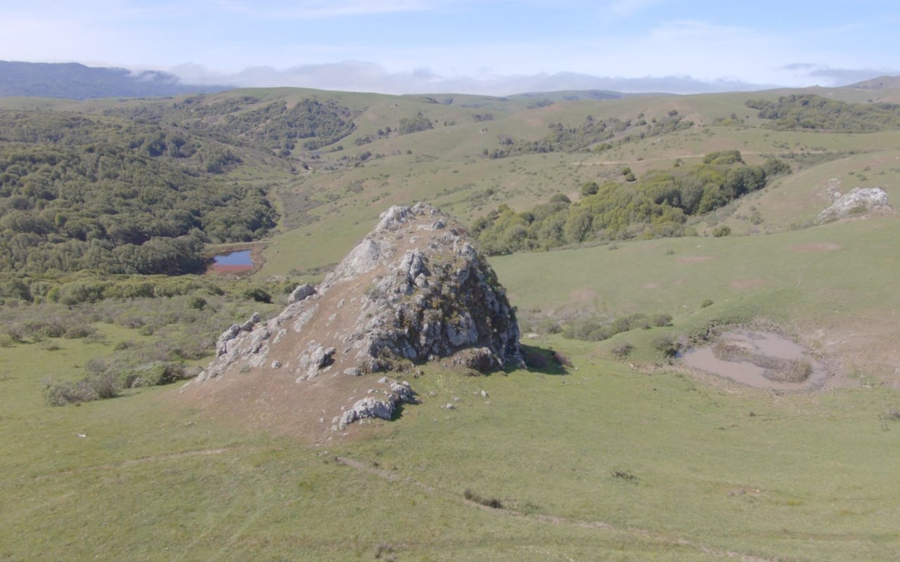 Gallery | Martinelli Ranch | Peter Maselli