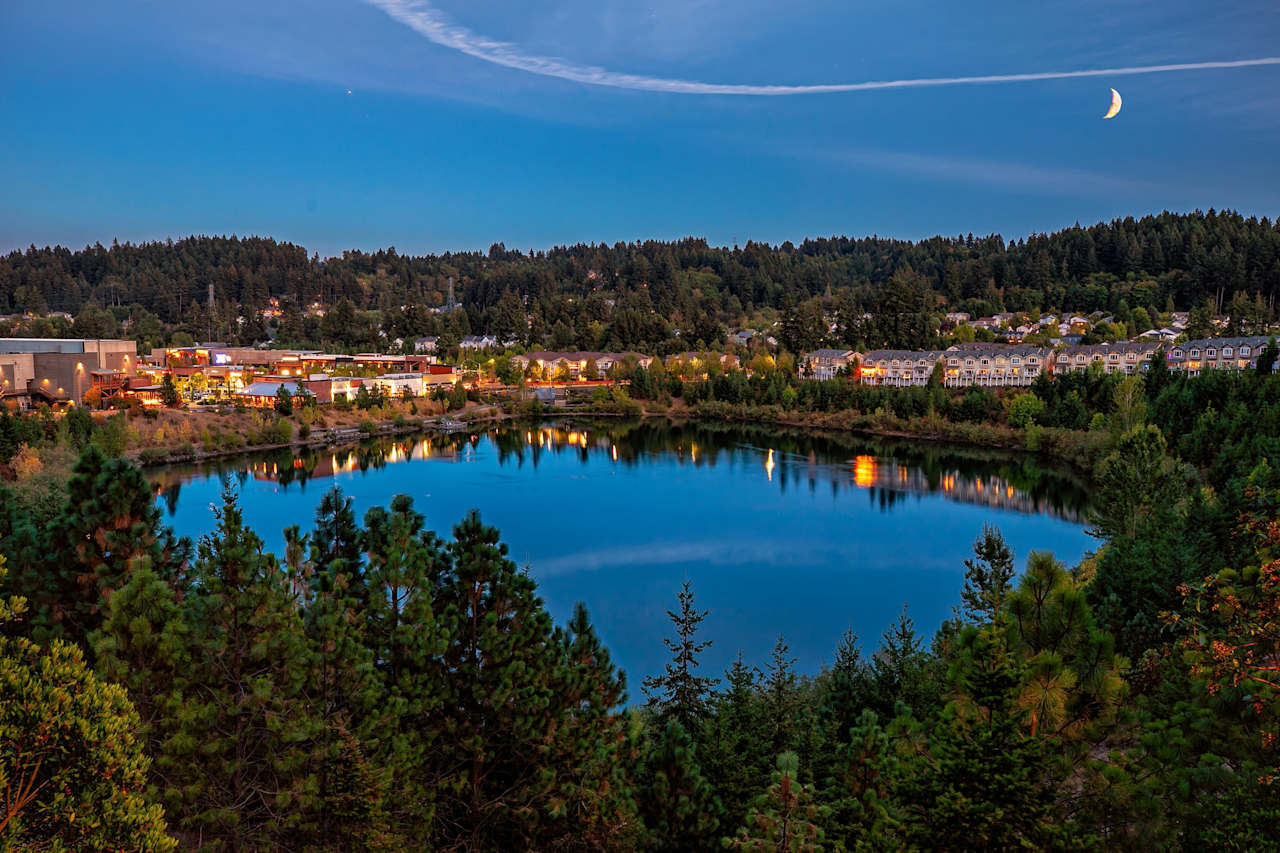 Beaverton, OR Area Guide & Demographic Information - Dirk Hmura