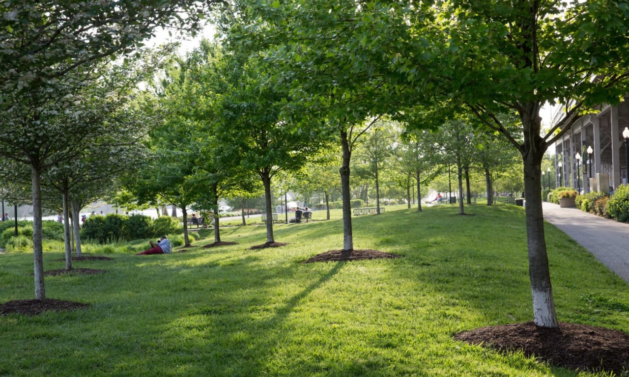 Meet David Hatef | Washington DC Luxury Real Estate Agent