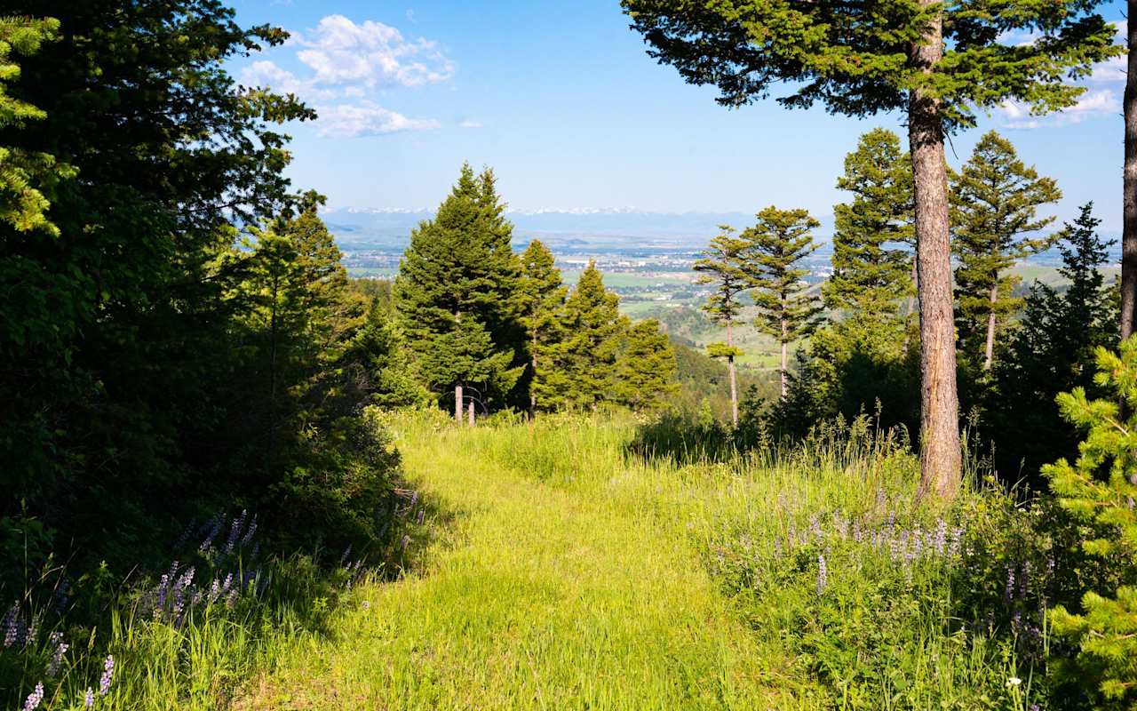 About the Agent | North Pass Ranch | Charlotte Durham