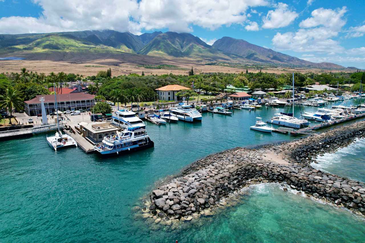 Lahaina | Neighborhood Guide