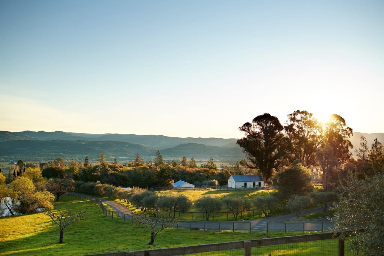 About Erin Lail | Coldwell Banker Brokers of the Valley | Napa Realtor