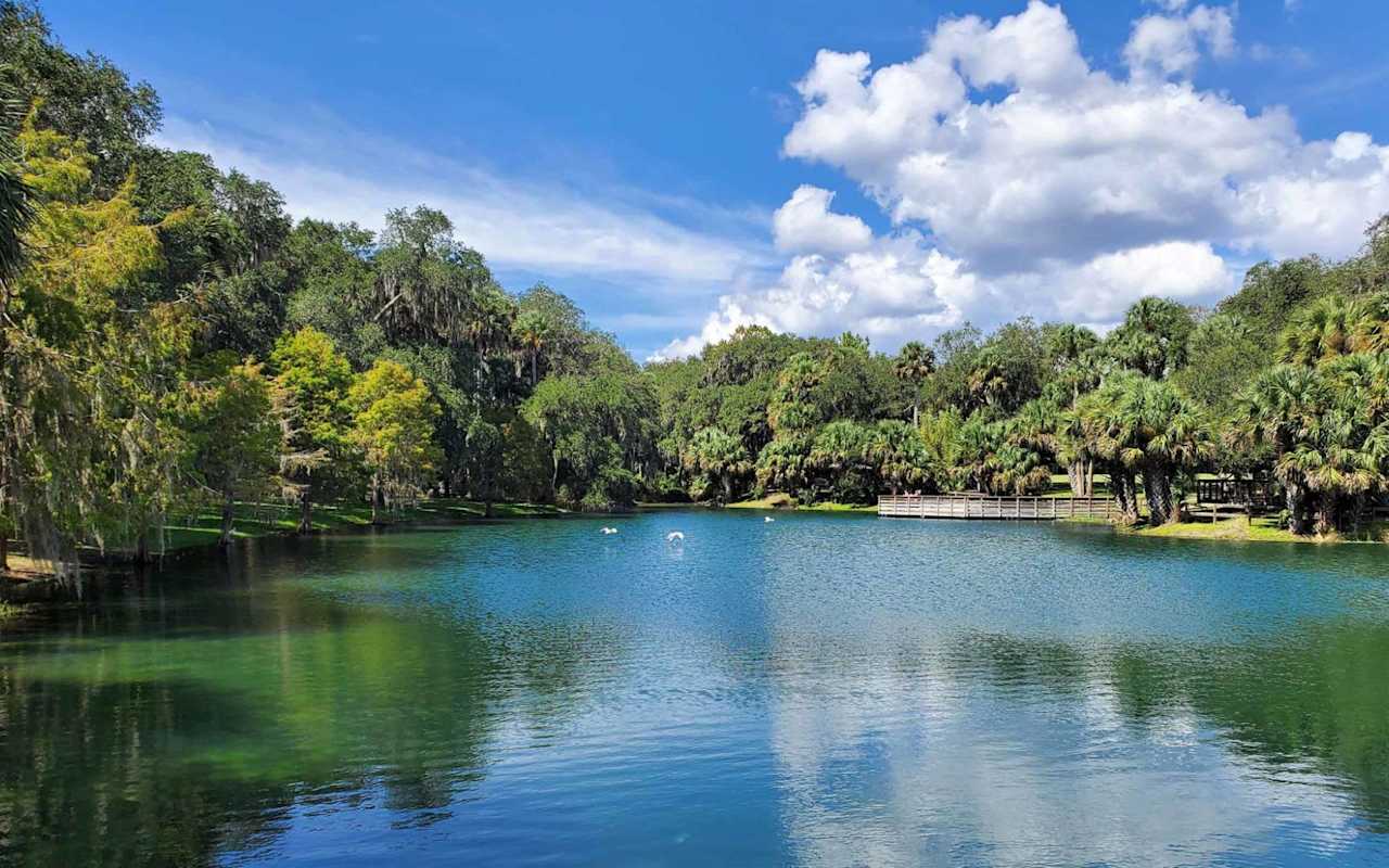 Homes for Sale in DeBary, FL - Top Agents