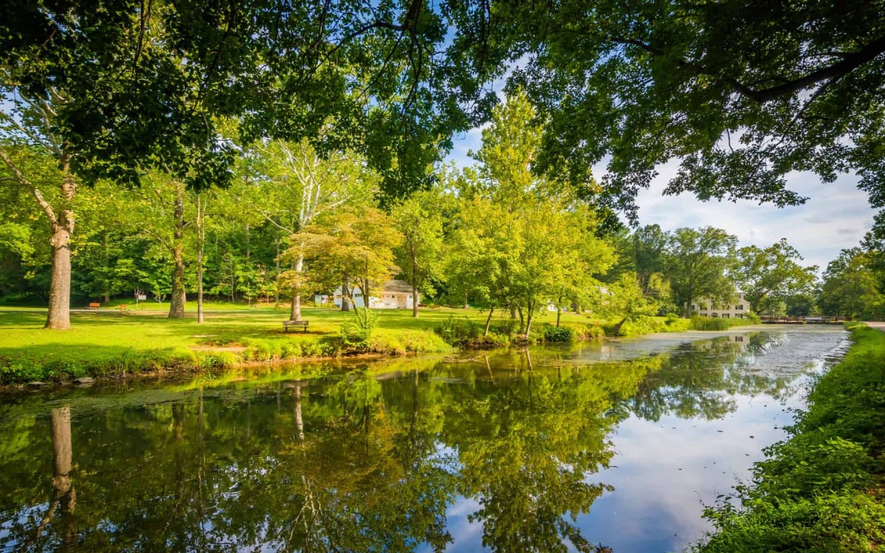 Best Things to Do in and Around Brunswick | Rose Bartz