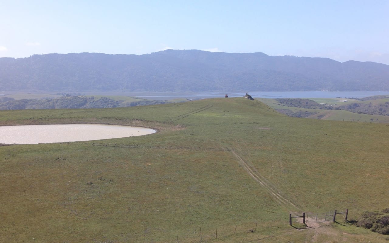 Martinelli Ranch | Peter Maselli