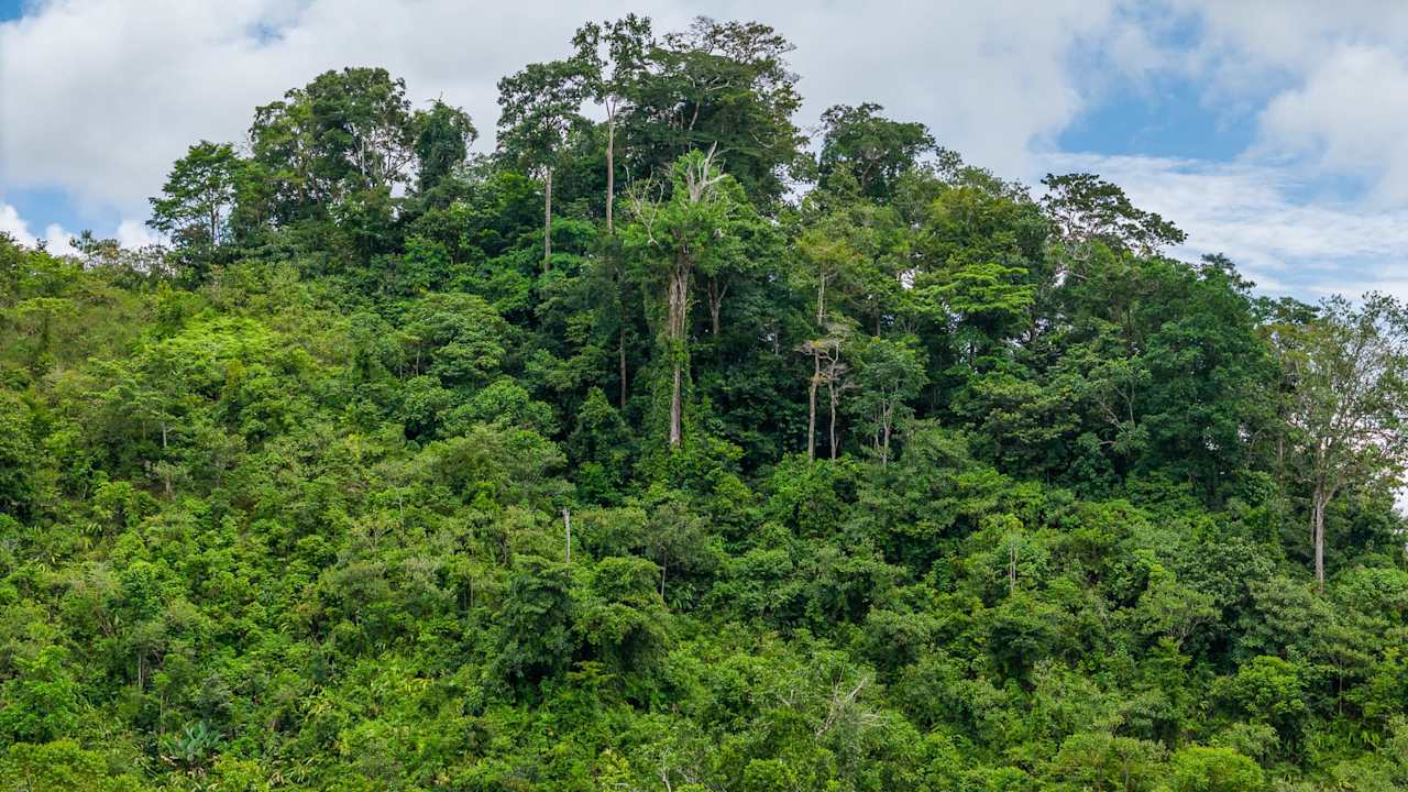 Eco Conservation Opportunity | 26 Acres of Costa Rican Nature