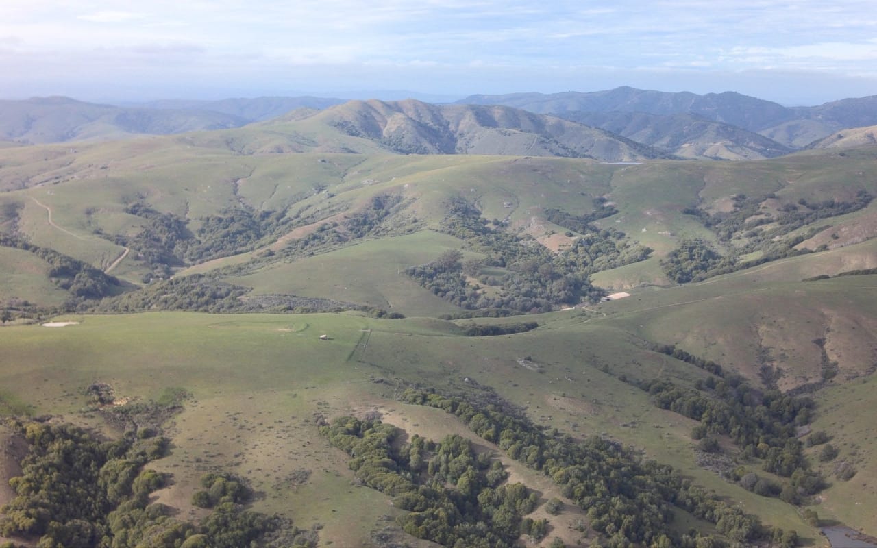 Gallery | Martinelli Ranch | Peter Maselli