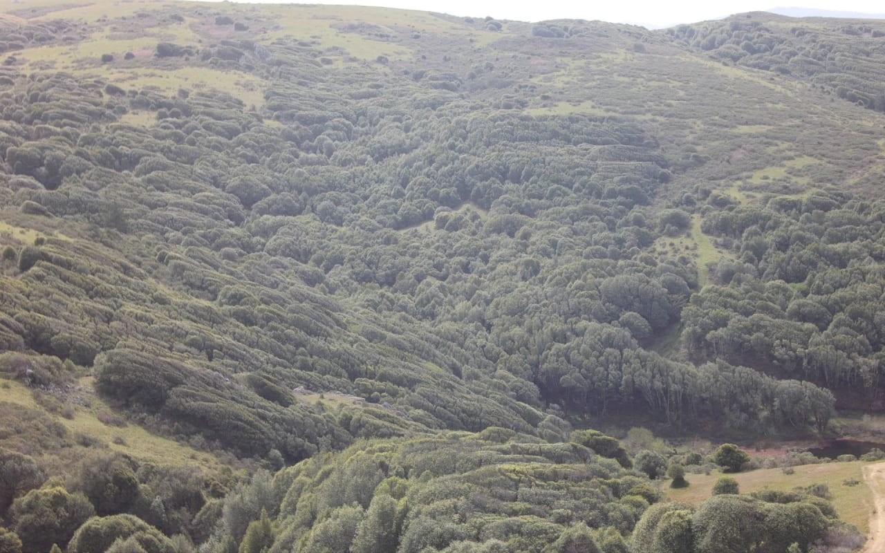 Martinelli Ranch | Peter Maselli