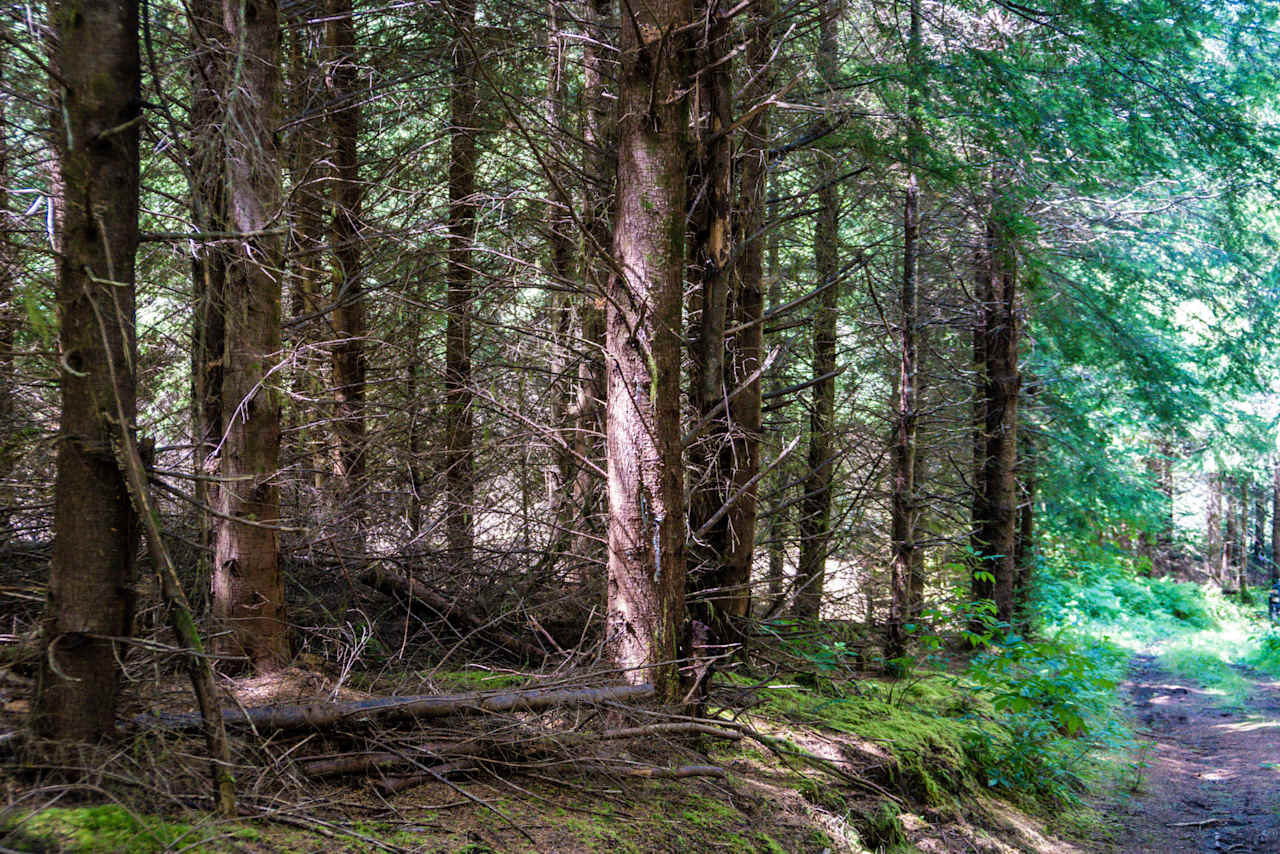 Eddyville/Sam's Creek Sealed Bid Offering (No Published Reserve)