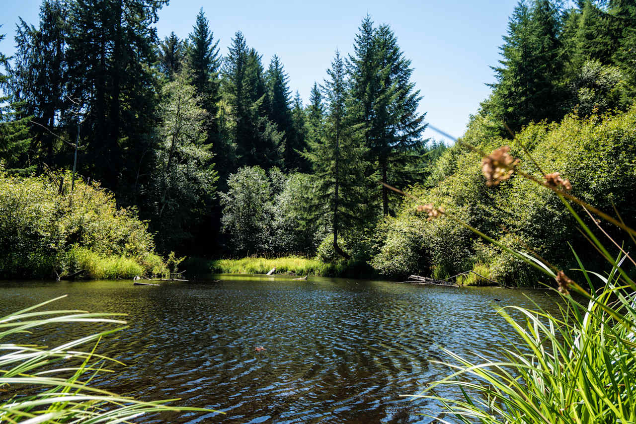 Eddyville/Sam's Creek Sealed Bid Offering (No Published Reserve)