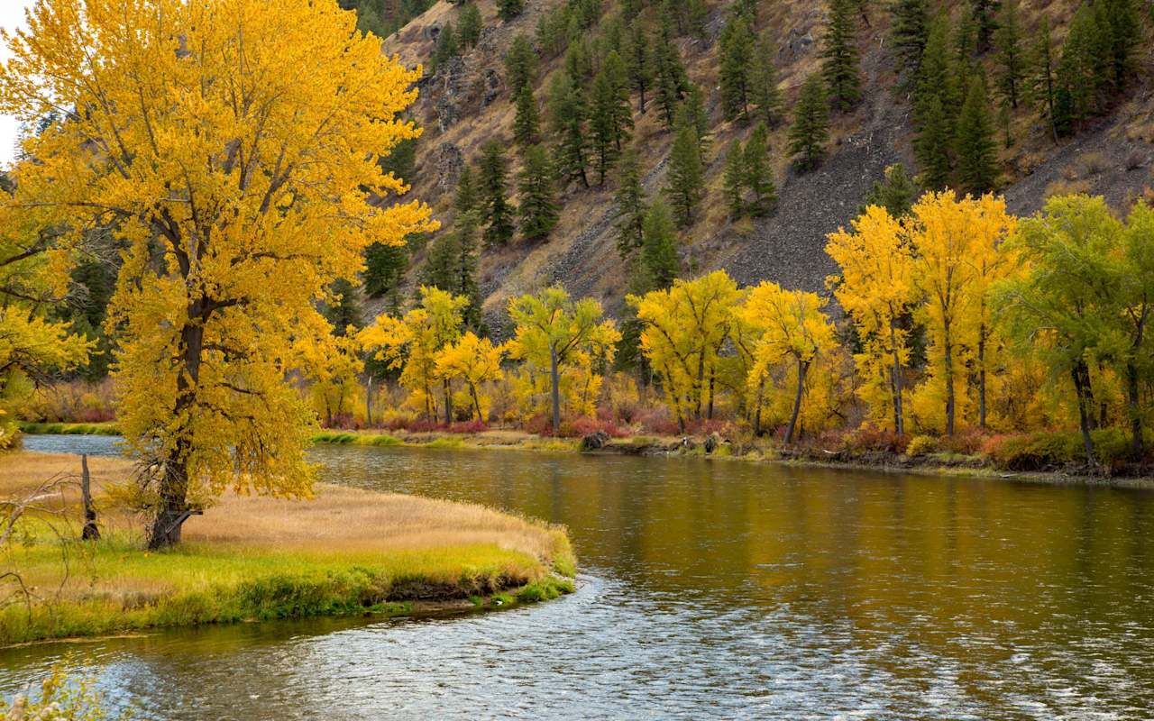 Rachel Ryan | Salmon, ID Real Estate Team