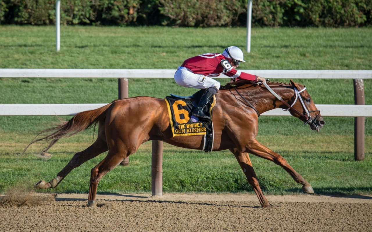 North Carolina Barrel Racing | Blog
