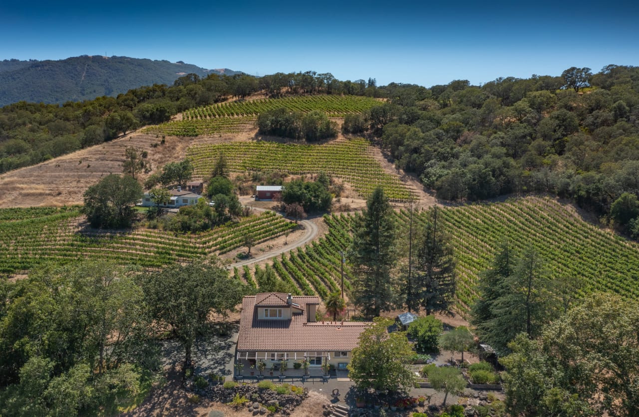Sonoma Real Estate Agent | Mark Stornetta | Wine Country Realtor