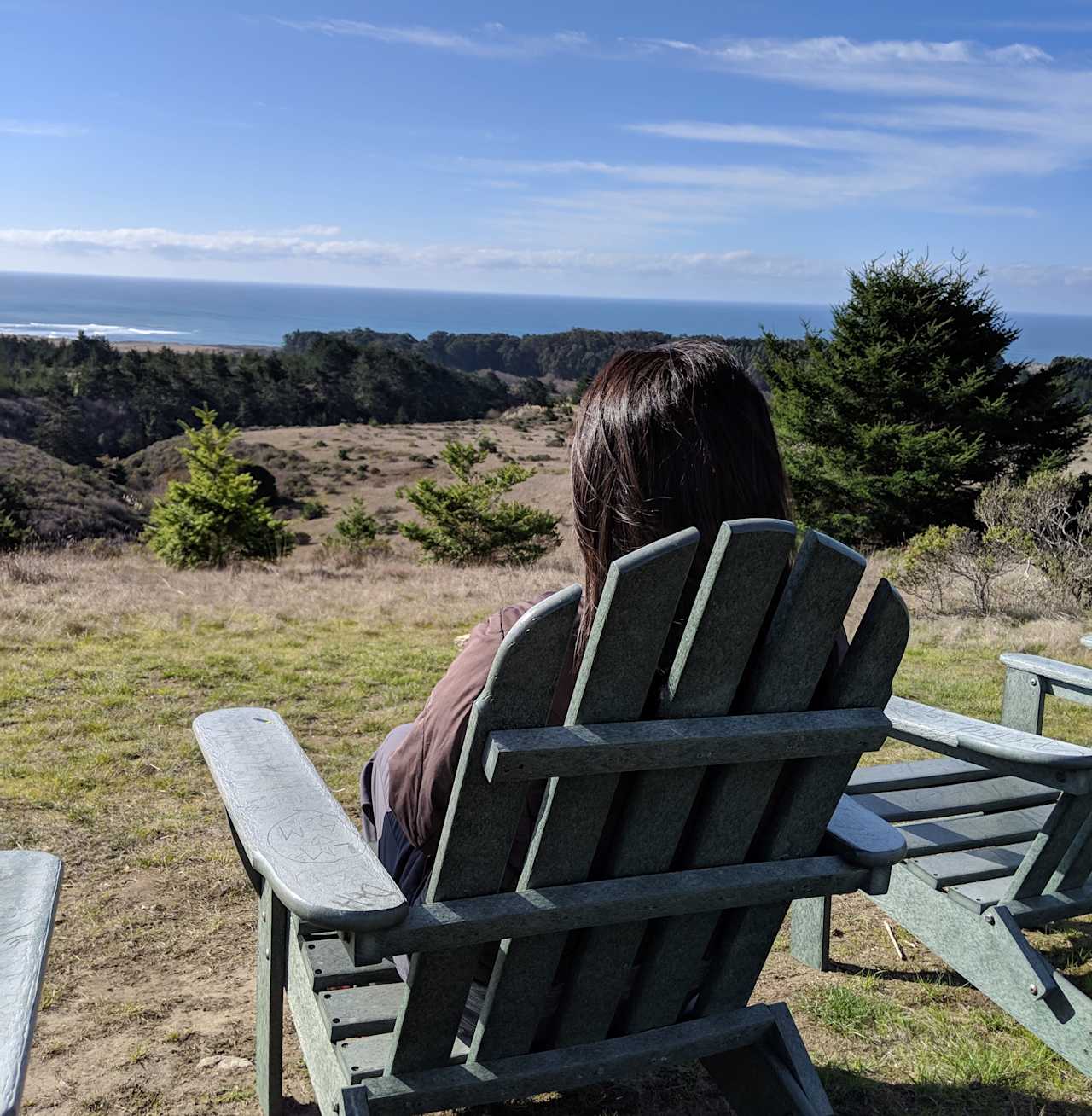 MLS listings in Contra Costa and Alameda Counties. Named the Top Realtor® In Burlingame.