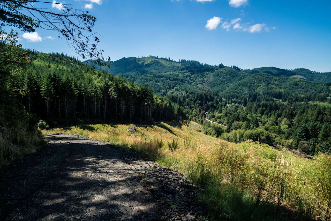 Eddyville/Sam's Creek Sealed Bid Offering (No Published Reserve)