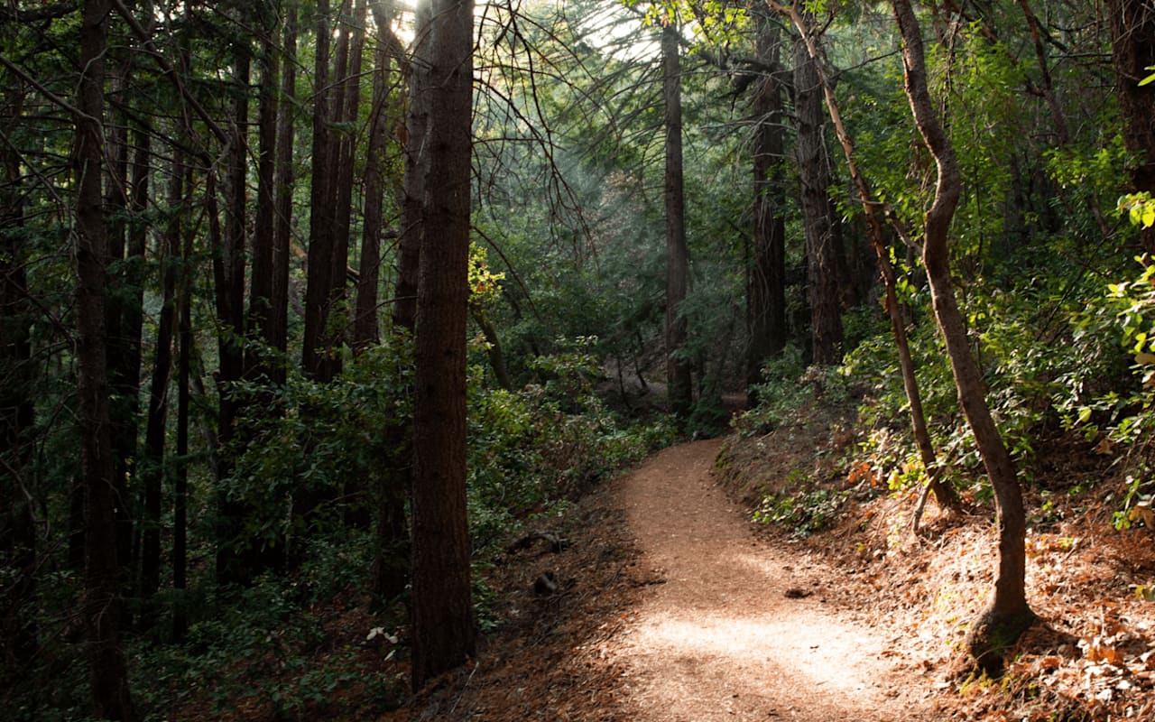 A Guide to Woodside, CA Parks | Blog | Scott Dancer | Scott Dancer