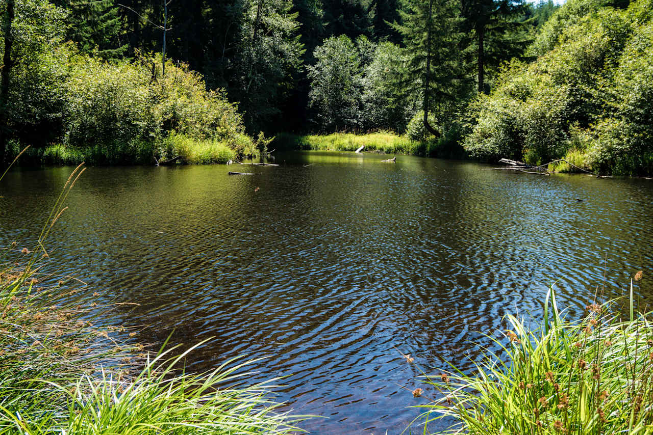 Eddyville/Sam's Creek Sealed Bid Offering (No Published Reserve)