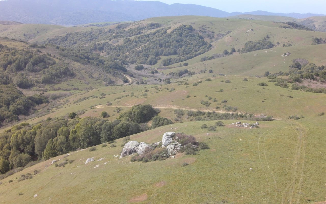 Martinelli Ranch | Peter Maselli