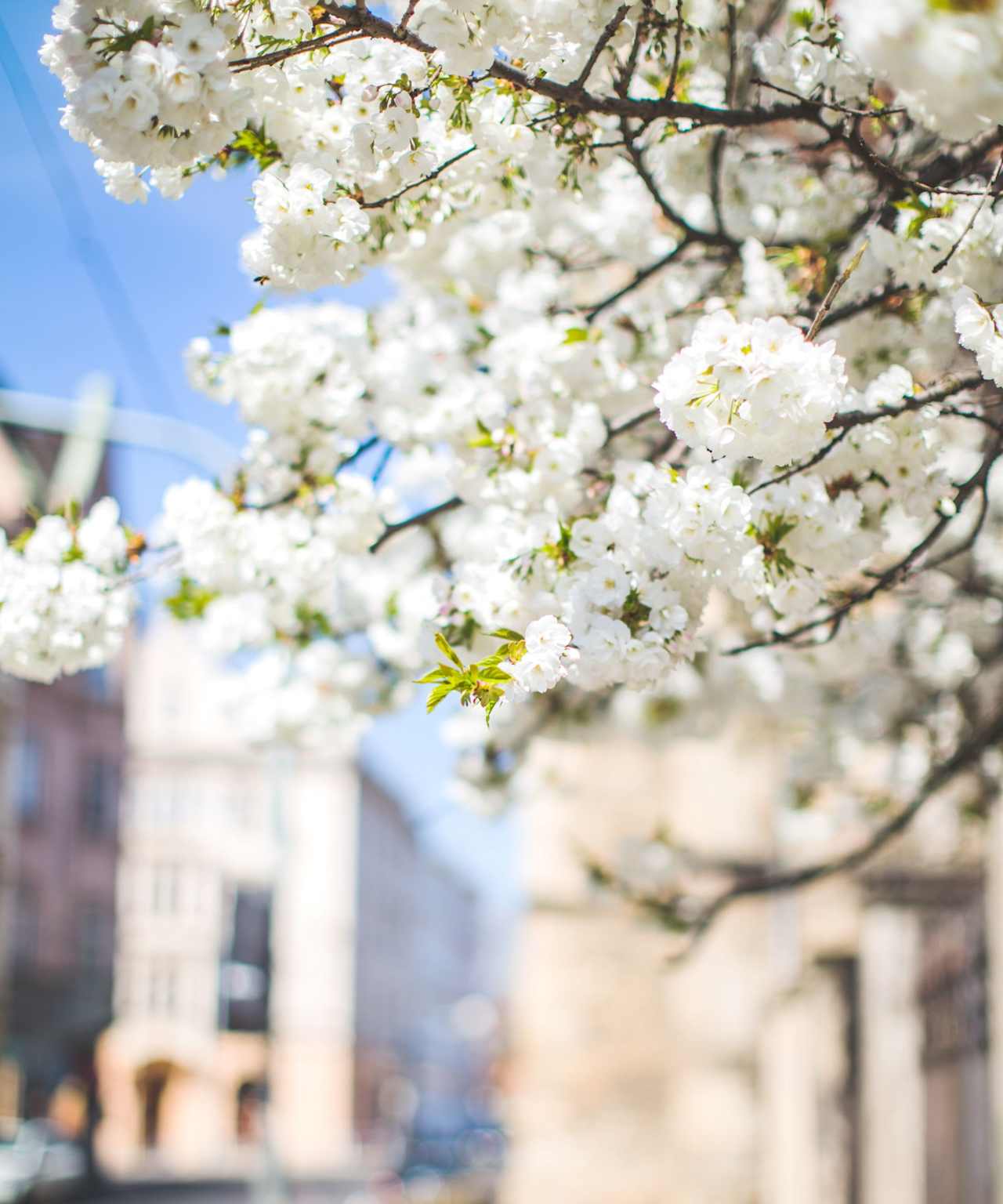 Jen Walker Team | Alexandria Real Estate Agent