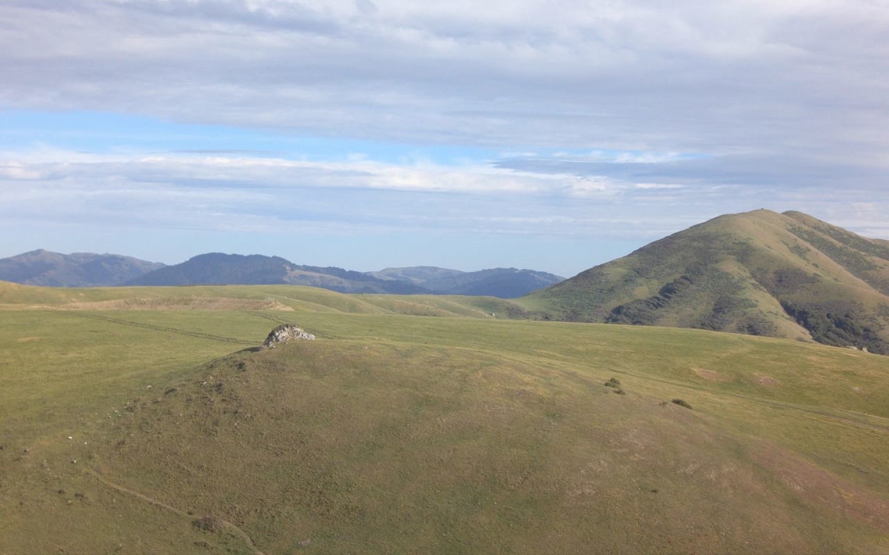 Gallery | Martinelli Ranch | Peter Maselli