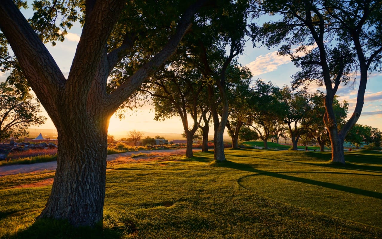 Love Where You Live: Local Parks | Mike McCurry Group