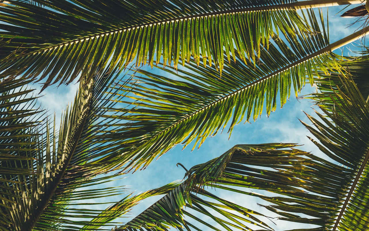 The Agency Bahamas | Real Estate Agents Serving Bahamas