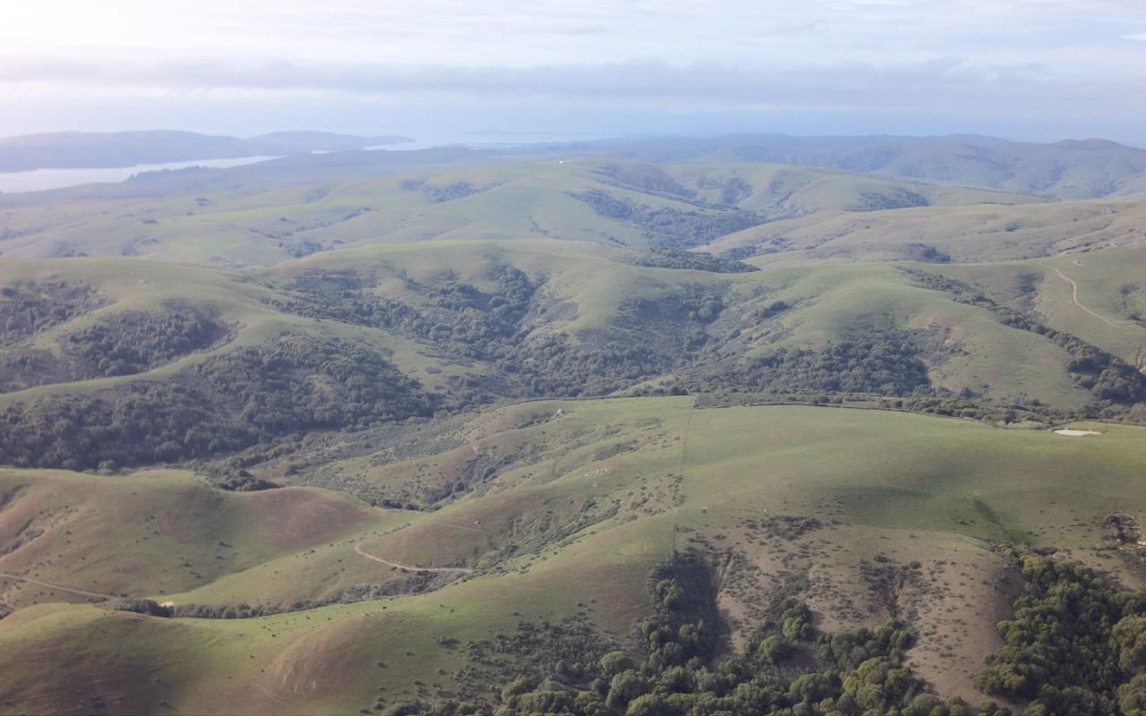 Gallery | Martinelli Ranch | Peter Maselli