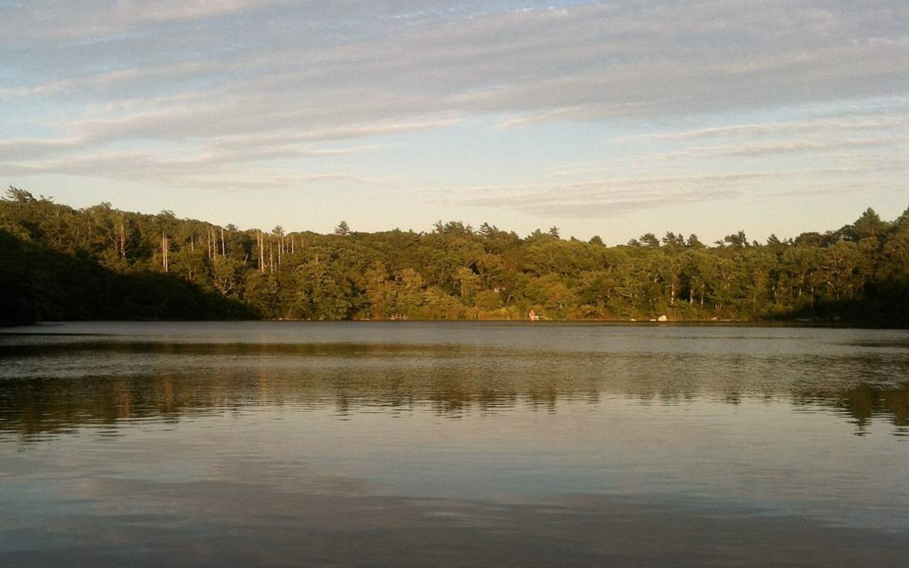 What is the Land Bank? | Blog