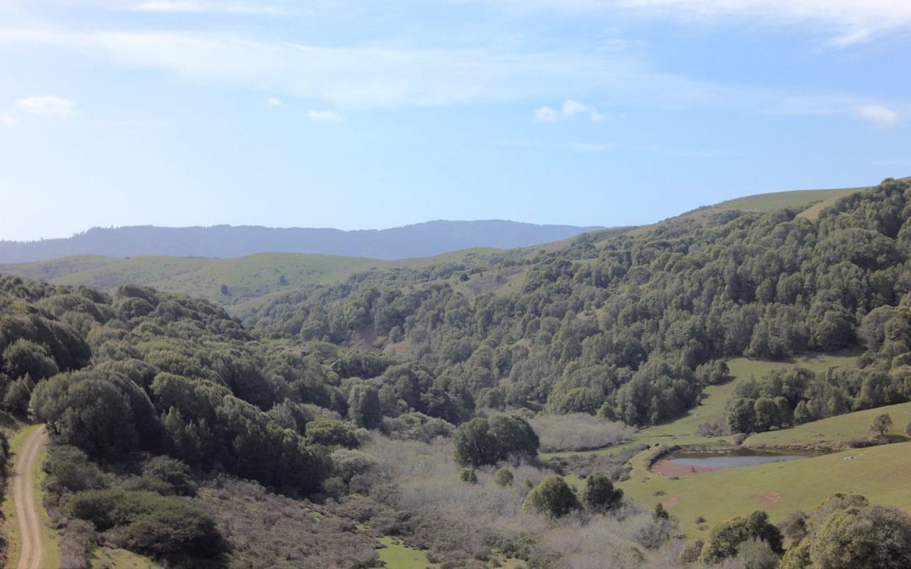 Martinelli Ranch | Peter Maselli