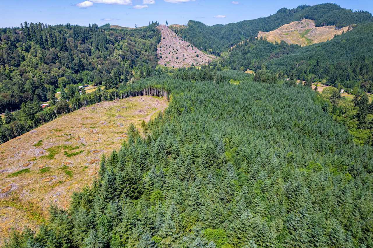 Eddyville/Sam's Creek Sealed Bid Offering (No Published Reserve)