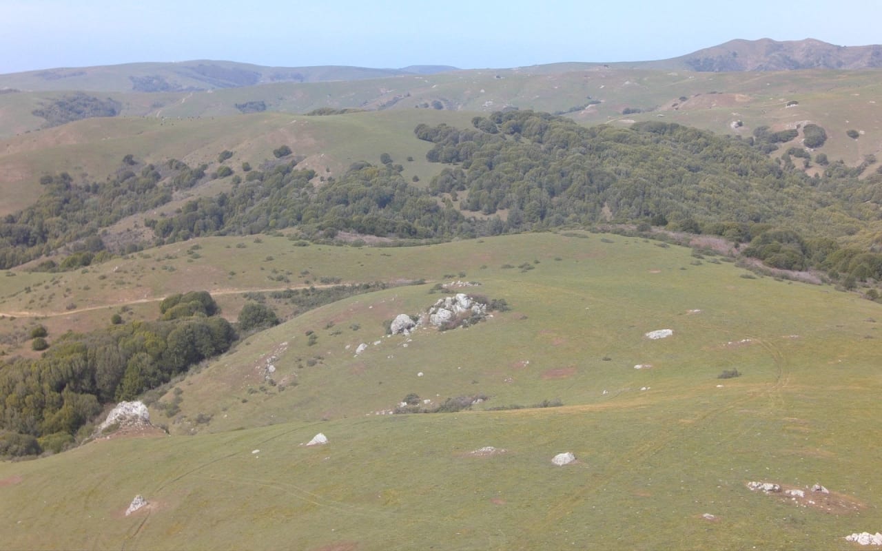 Gallery | Martinelli Ranch | Peter Maselli