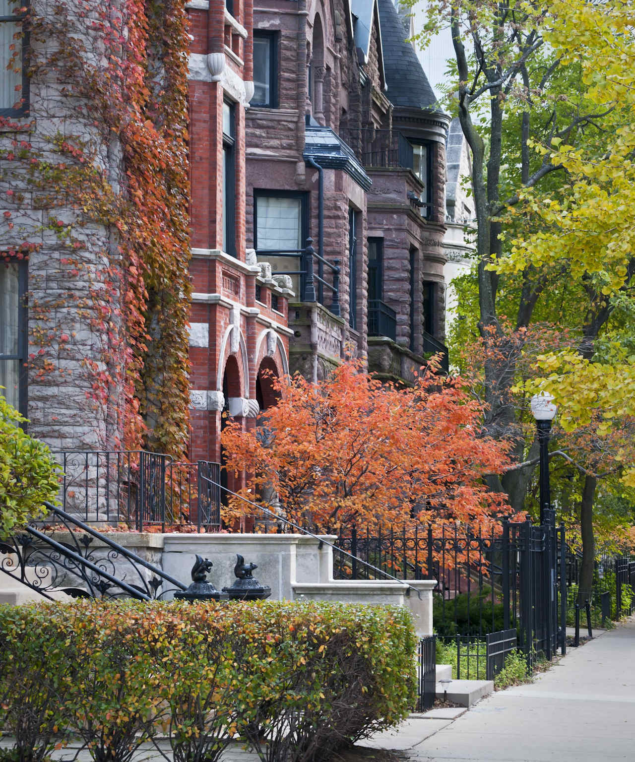 Michael Hall Group | Chicago Real Estate Agents & Realtors