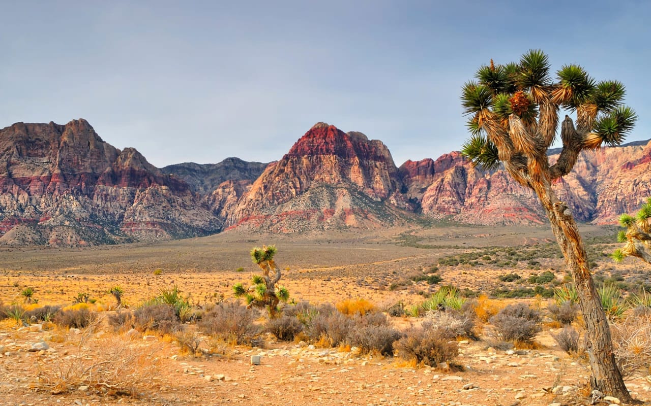 The Top Attractions in Las Vegas, NV, For Locals or Tourists | Blog ...