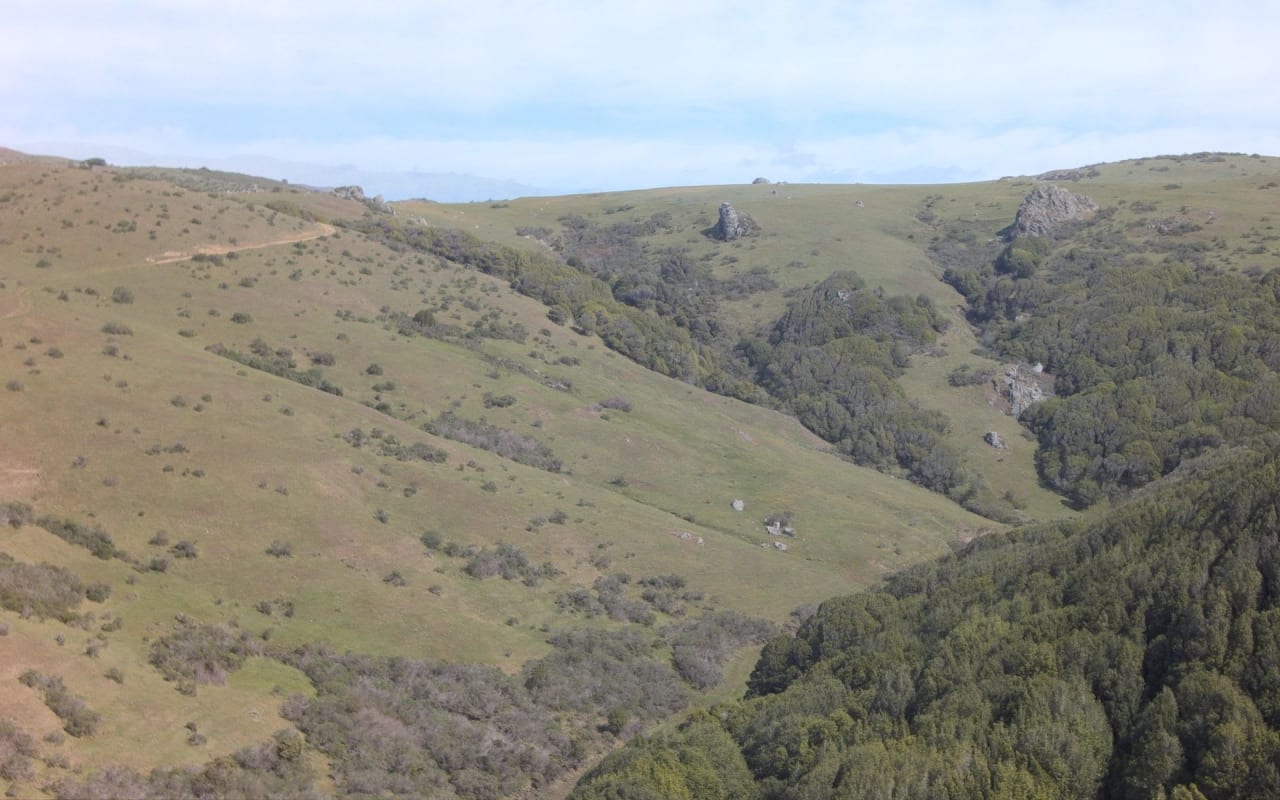 Martinelli Ranch | Peter Maselli