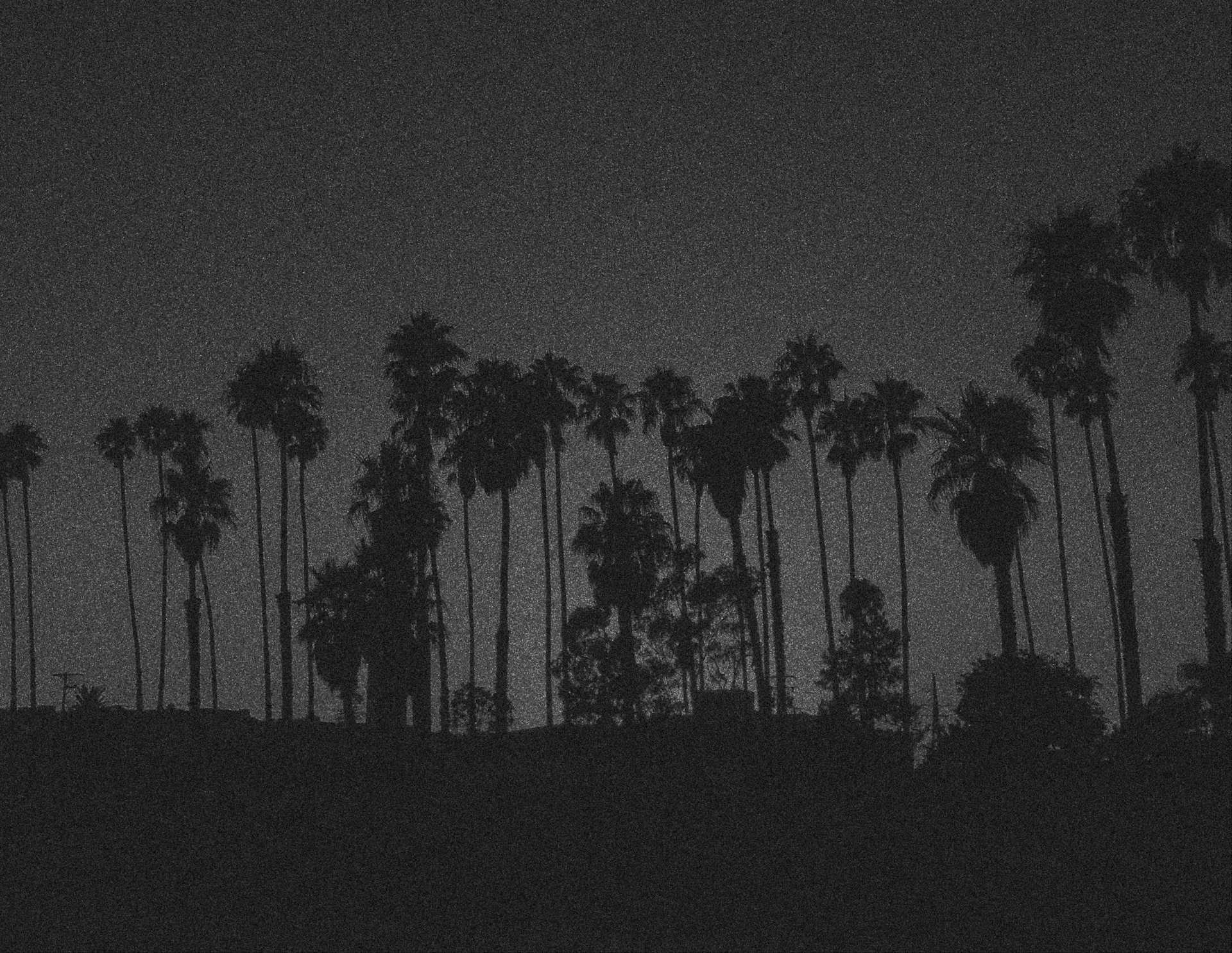 Coaching | Ben Belack Group | Beverly Hills Real Estate