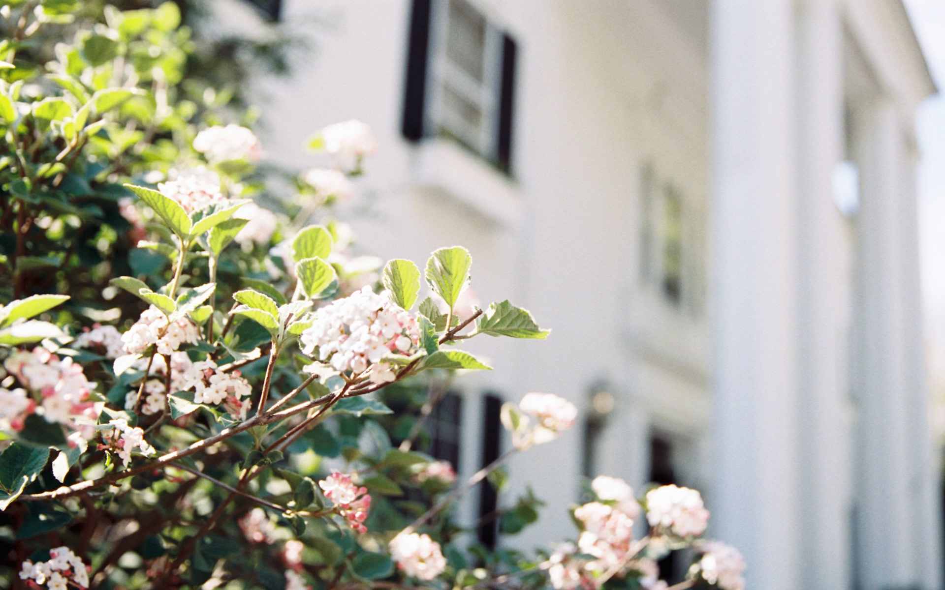 Susan Dolan | Lake Norman Real Estate Agent